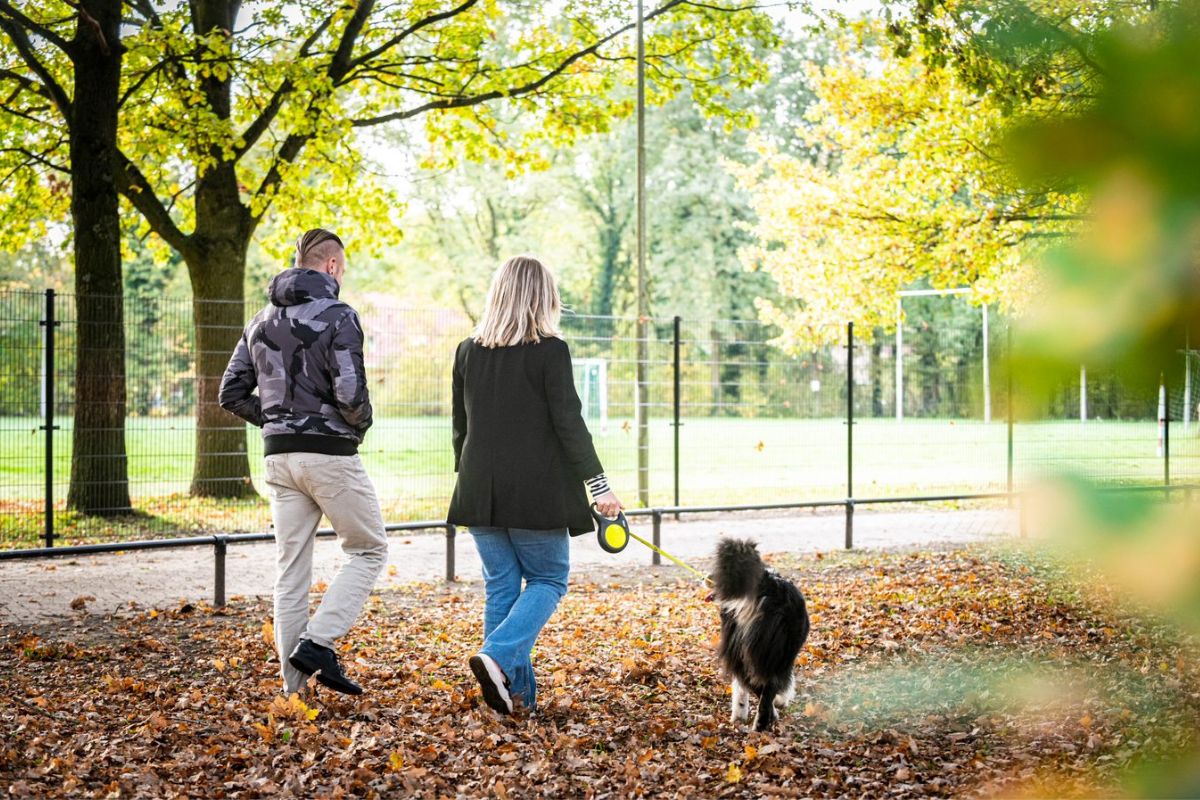 Behandeling gokverslaving » Deskundig afkicken van gokken